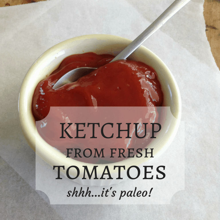 Homemade Ketchup From Fresh Tomatoes - Salt in my Coffee