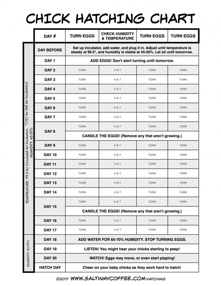 Egg Hatching Temperature Chart