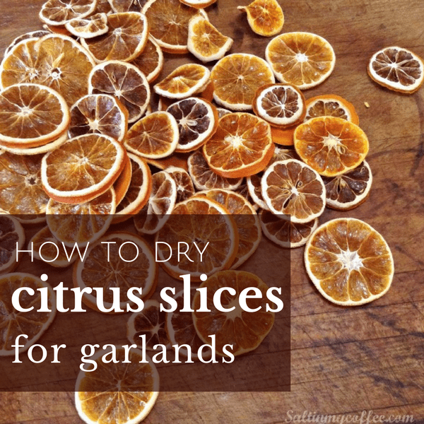 How to Dry Citrus Slices for Decorations - Salt in my Coffee