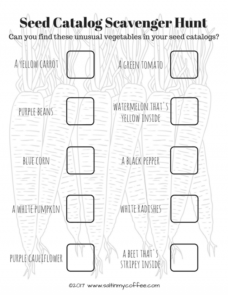 Seed Catalog Scavenger Hunt - Salt in my Coffee