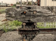 How to choose the best anvil for your forge - Salt in my Coffee