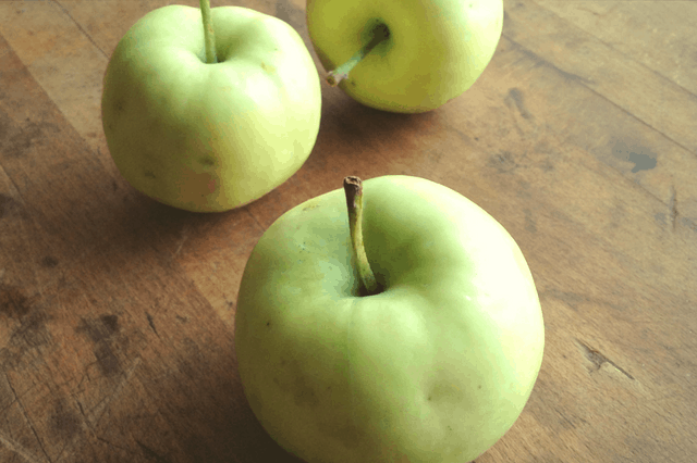 Earliest Apple Varieties (and where to order trees!) - Salt in my Coffee