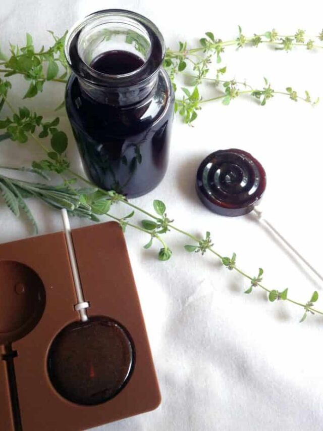 Paleo Elderberry Lollipops with Lemon Balm & Lavender - Salt in my Coffee