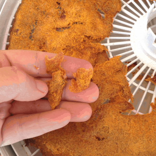 How to Make Pumpkin Powder (Pumpkin Flour) - Salt in my Coffee