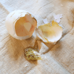 How Long Do Ducklings Take To Hatch? - Salt in my Coffee