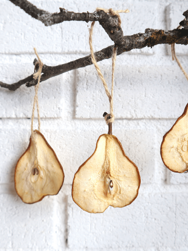 Decorations How to Dry Pears for Creative Decorations - Salt in my Coffee