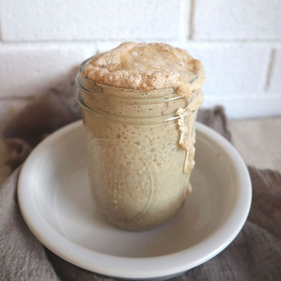How to Make Your Own Yeast for Baking Bread - Salt in my Coffee