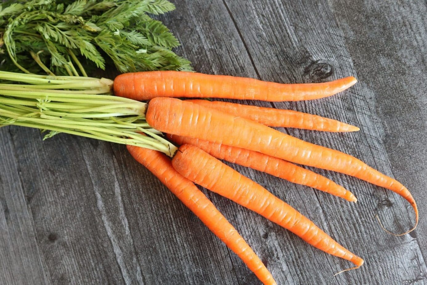 How to grow great carrots - Salt in my Coffee