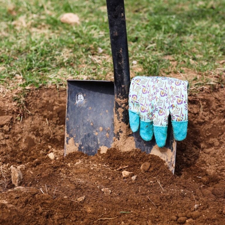 How to Dig a Garden By Hand - Salt in my Coffee