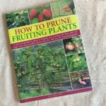 Favorite Pruning Tools - Salt in my Coffee