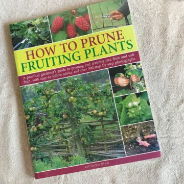 Favorite Pruning Tools - Salt in my Coffee