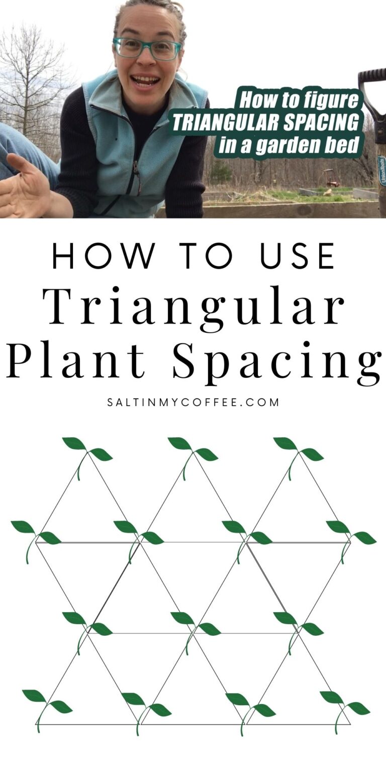 How to Use Triangular Spacing to Fit More Plants - Salt in my Coffee