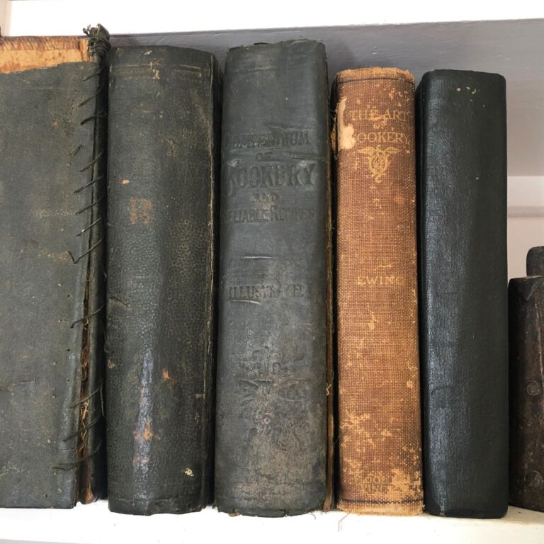 Favorite 1800's cookbooks you can read online - Salt in my Coffee