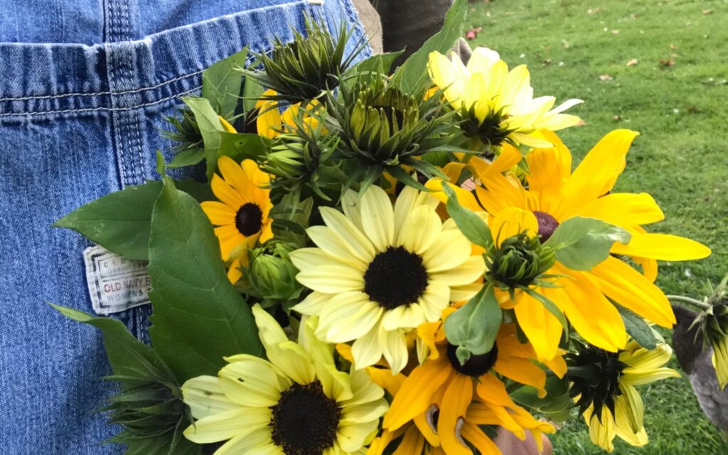 How to Use Triangular Spacing to Fit More Plants - Salt in my Coffee