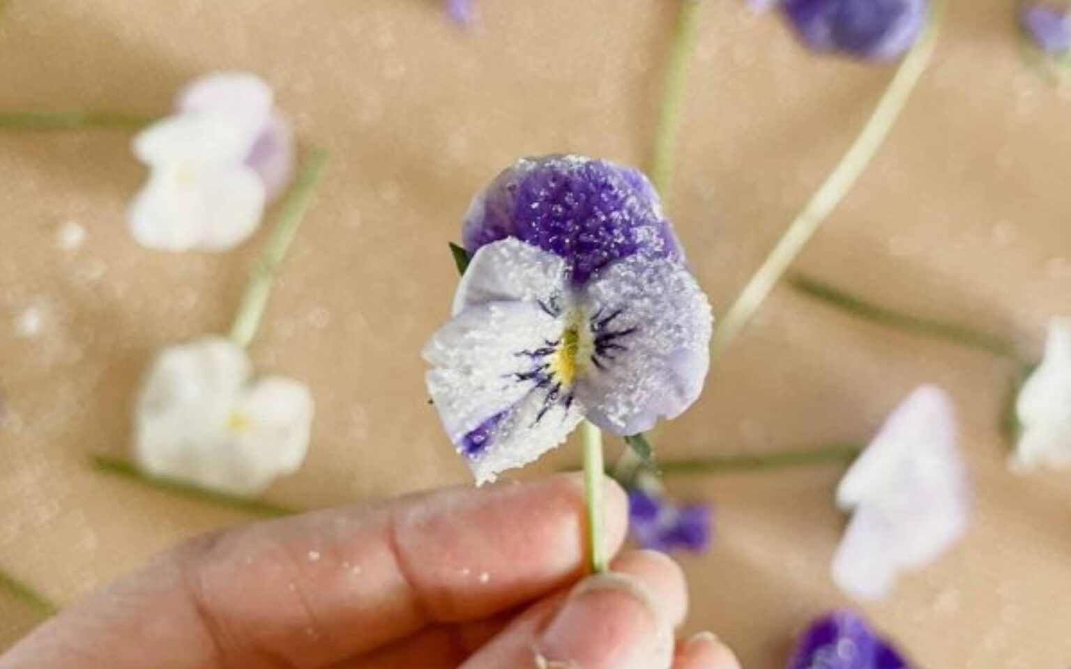 23 Beautiful Blossoms You Can Grow and Eat - Salt in my Coffee