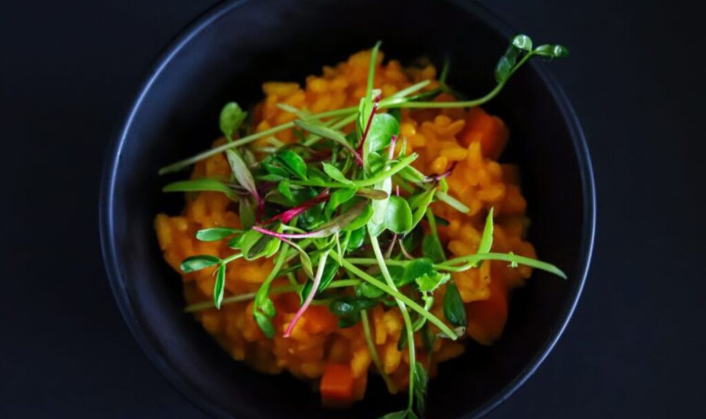 16 Recipes For Microgreens That Are Huge on Flavor - Salt in my Coffee