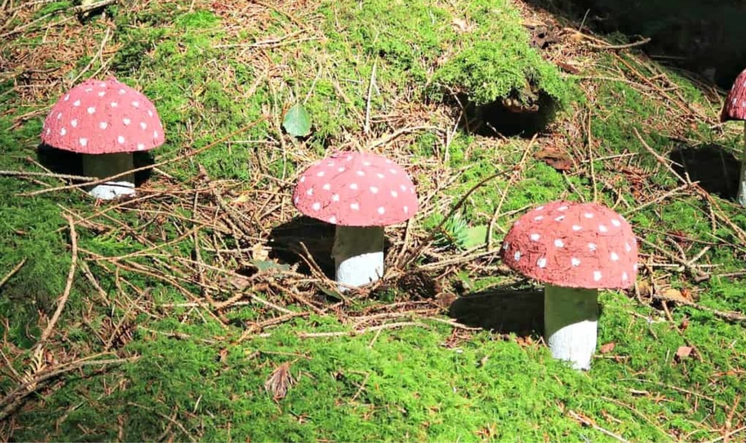 Our Favorite Ways to Add Whimsy to Any Garden - Salt in my Coffee
