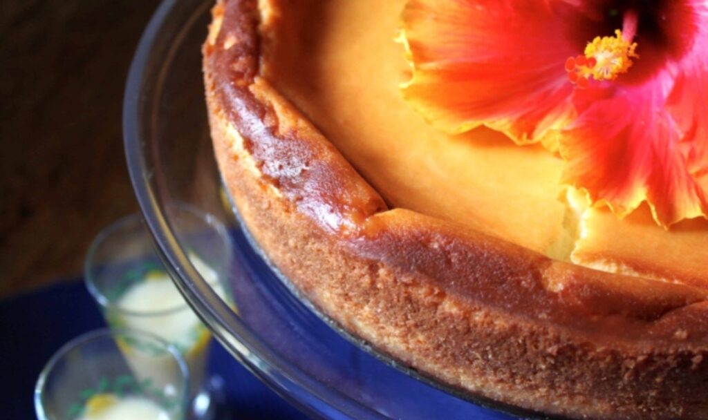 21 Heavenly Cheesecake Flavors Every Cheesecake Lover Will Want to Try ...