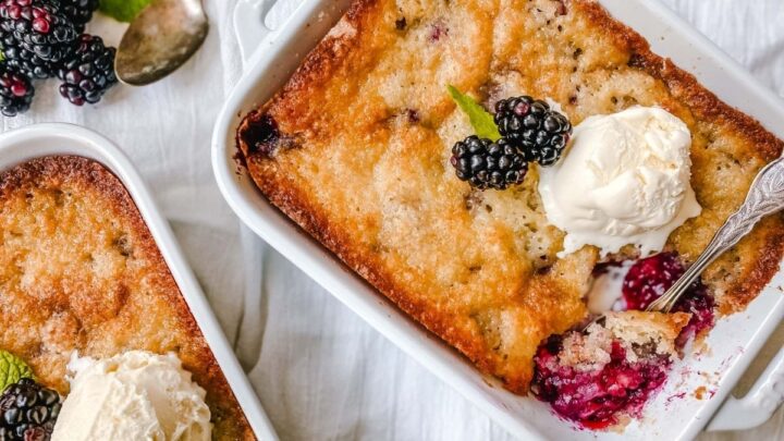 15 Irresistible Blackberry Recipes For This Summer - Salt in my Coffee