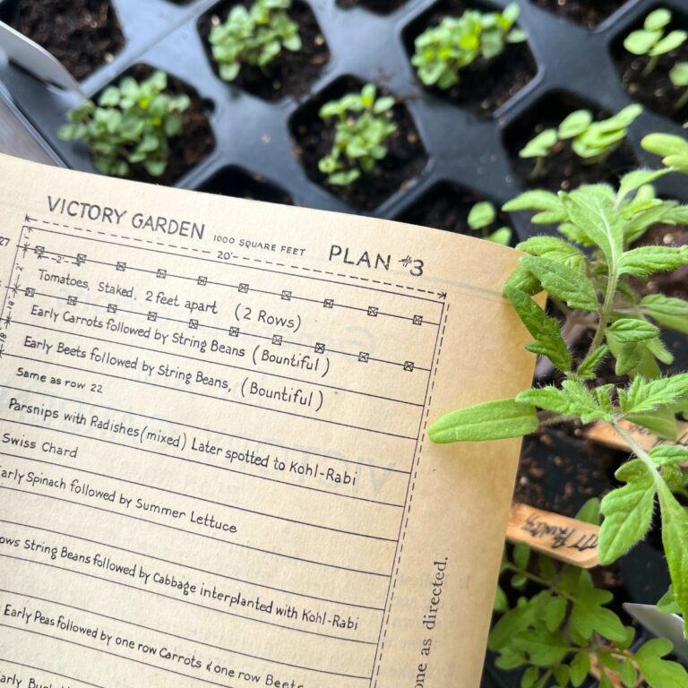 How to Use Triangular Spacing to Fit More Plants - Salt in my Coffee